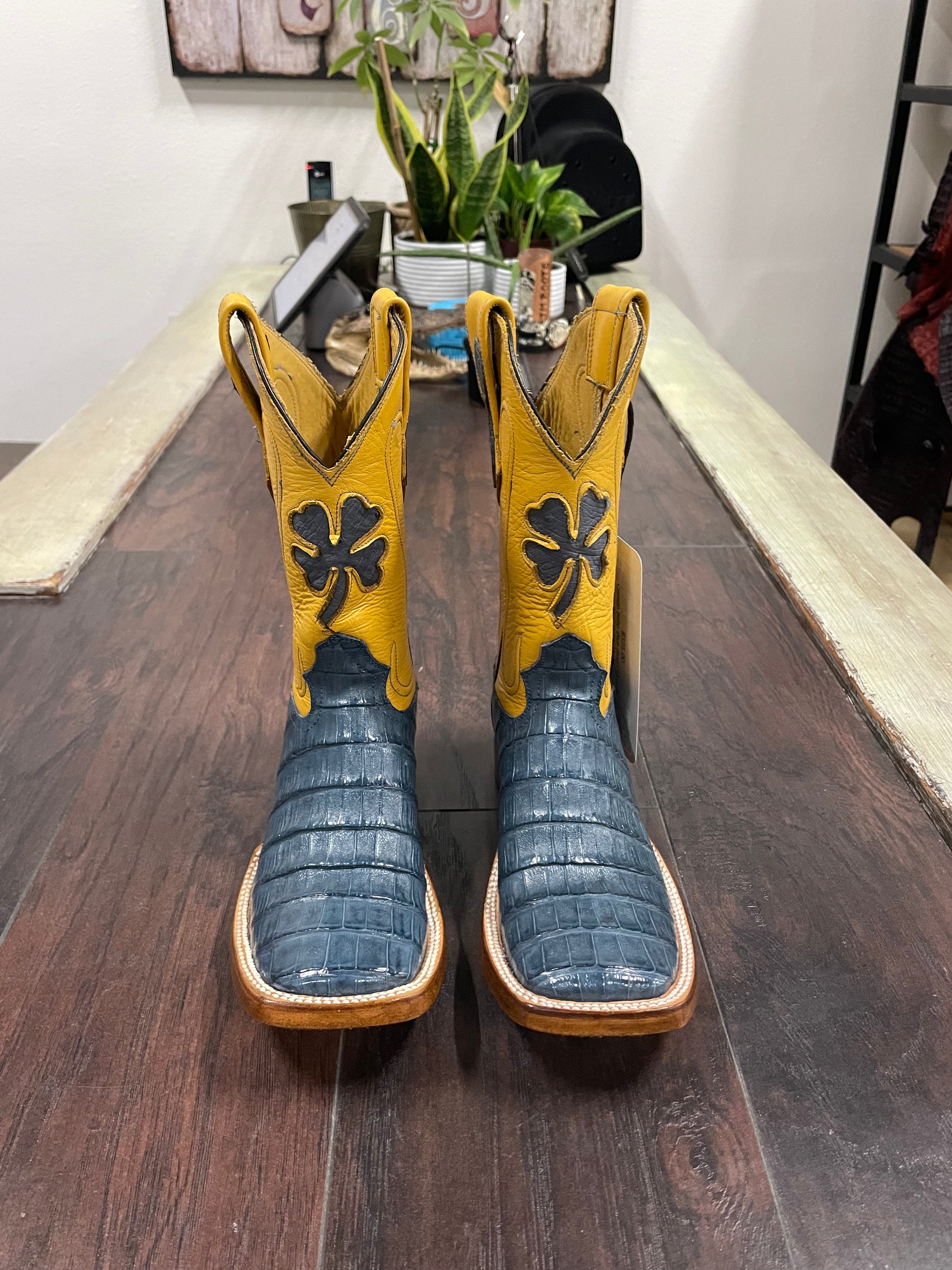 Caiman belly- Blue Jean – JM Boots